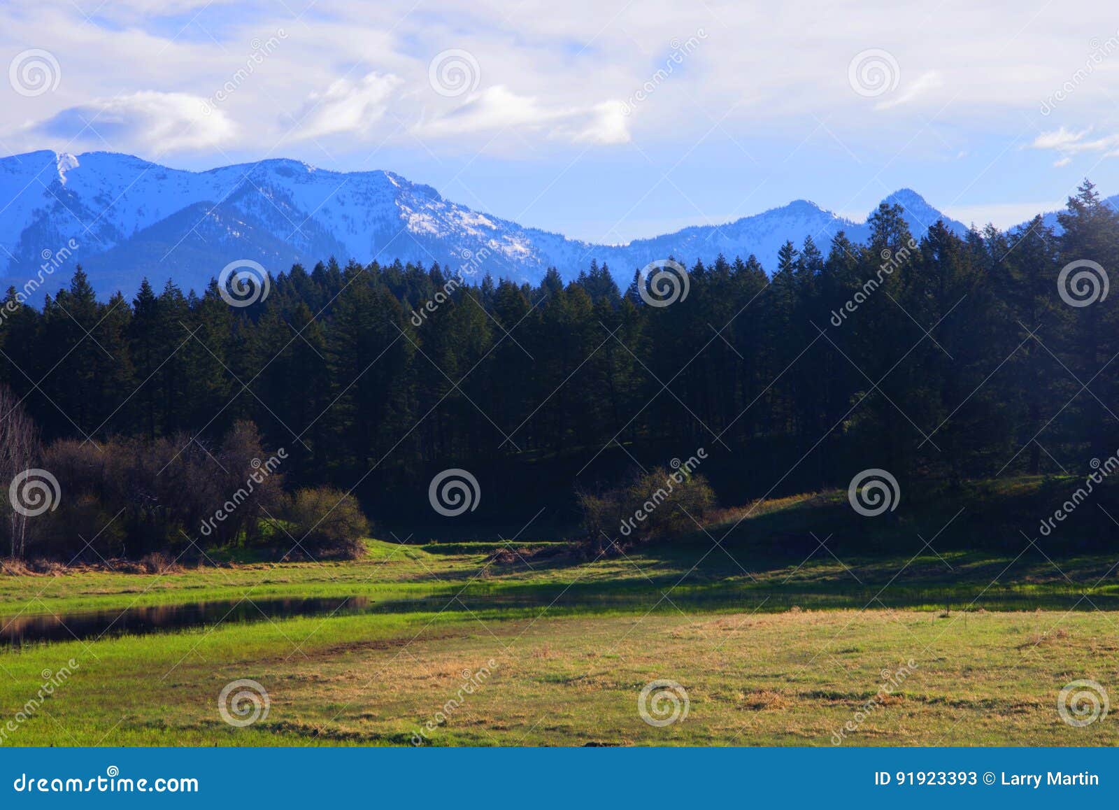Swan Range, Flathead National Forest Stock Image - Image of flathead ...