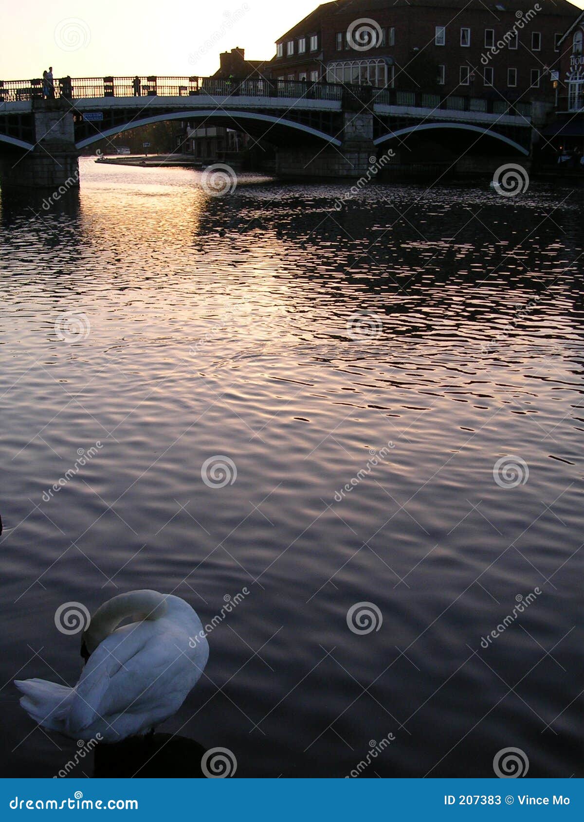 Eton River Thames Stock Photos - Free & Royalty-Free Stock Photos from ...