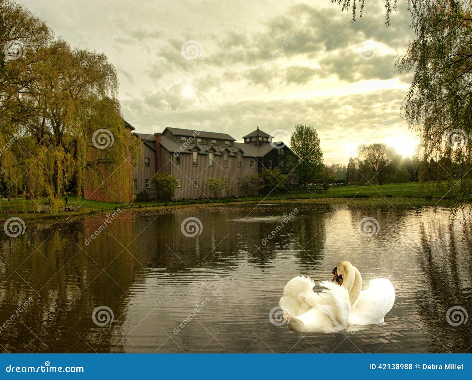 Swan scene stock photo. Image of spring, nature, swans - 42138988