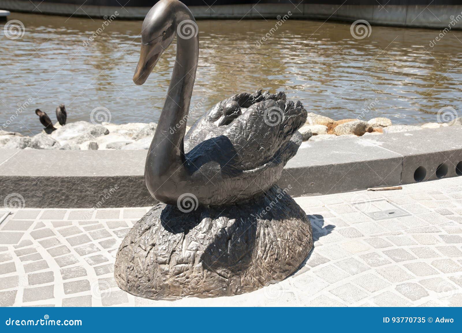 Swan Statue - Perth - Australia Stock Image - Image of river, statue ...