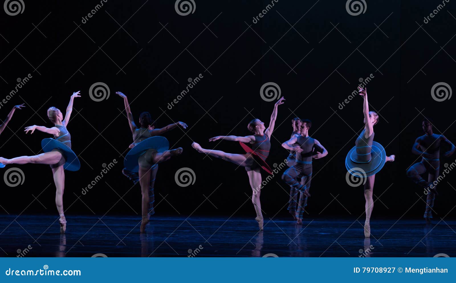 Swan Wings-Classical Ballet `Austen Collection` Editorial Photography ...