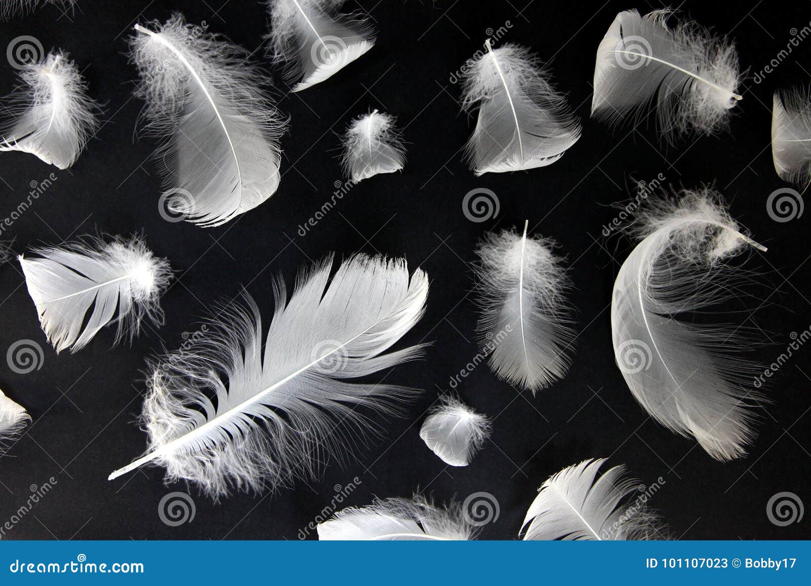 Swans down stock image. Image of color, fragile, soft - 101107023