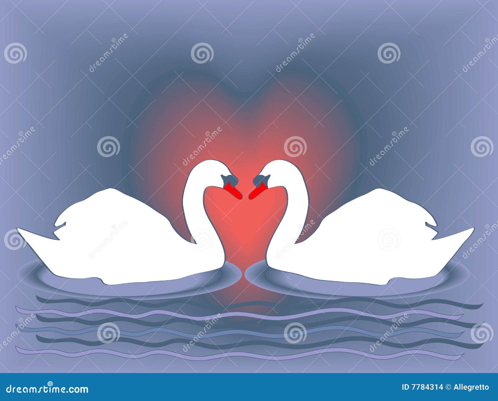 Swans heart stock illustration. Illustration of bride - 7784314