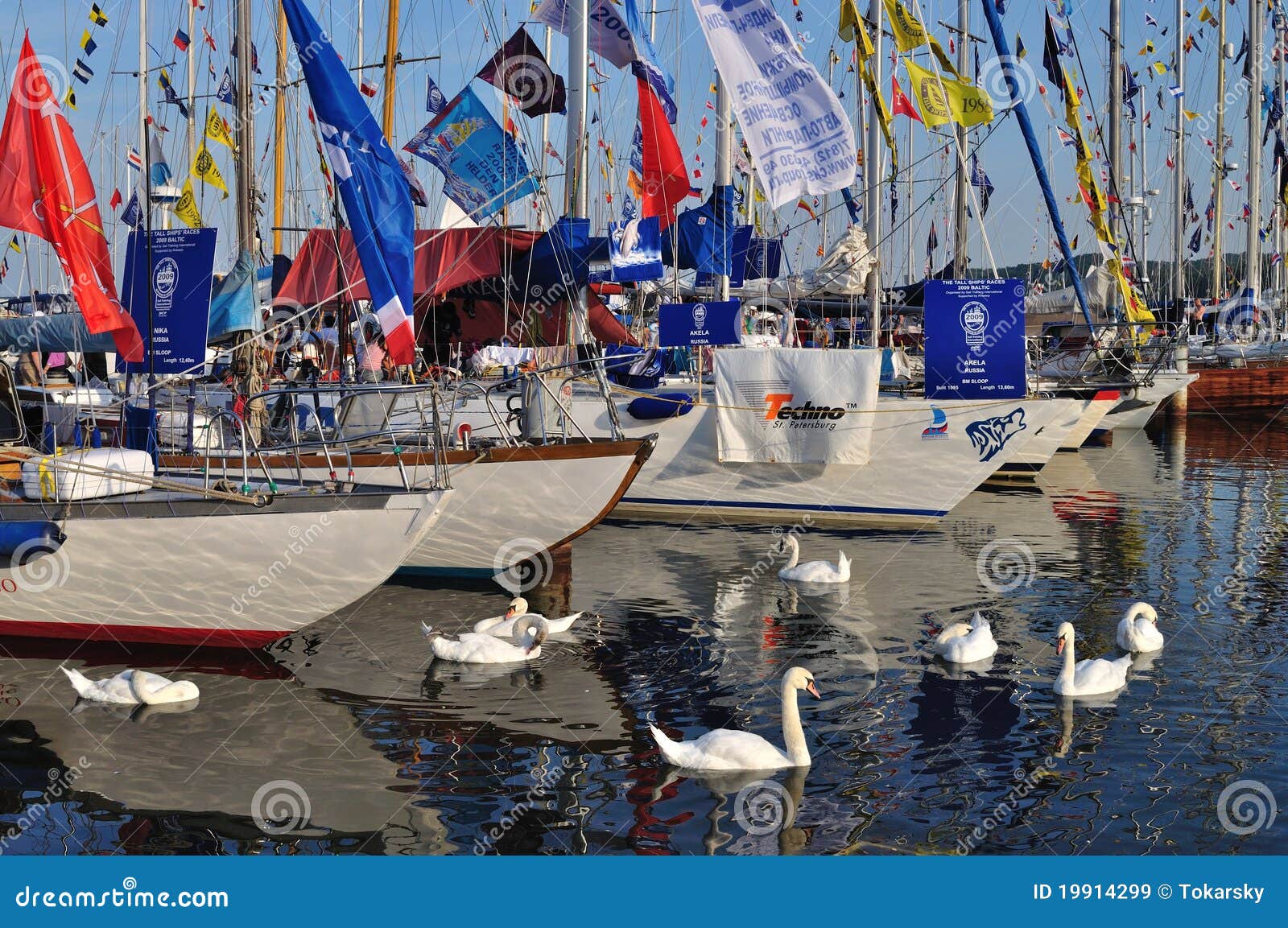 Swans and sailboats editorial stock image. Image of sail - 19914299