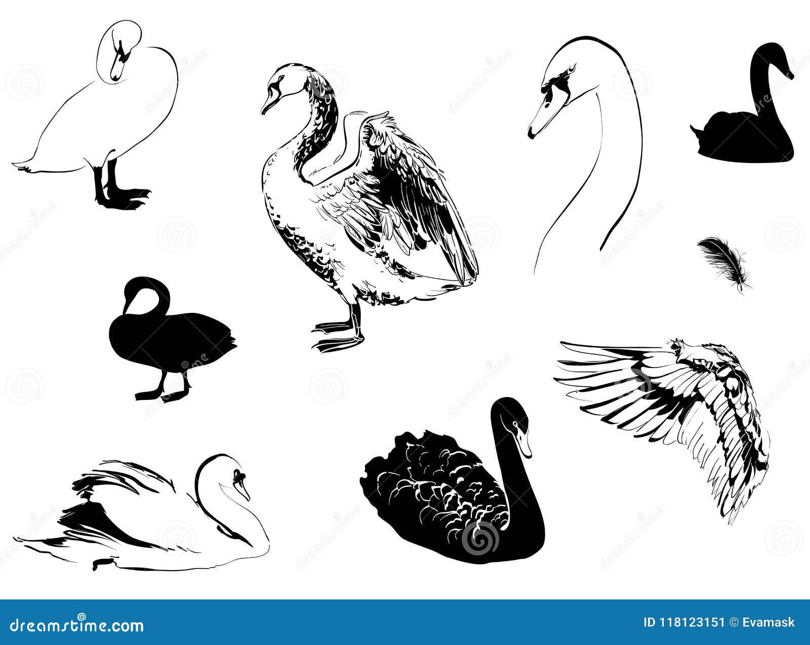 Silhouettes Of Two Swans Cartoon Vector 53359843