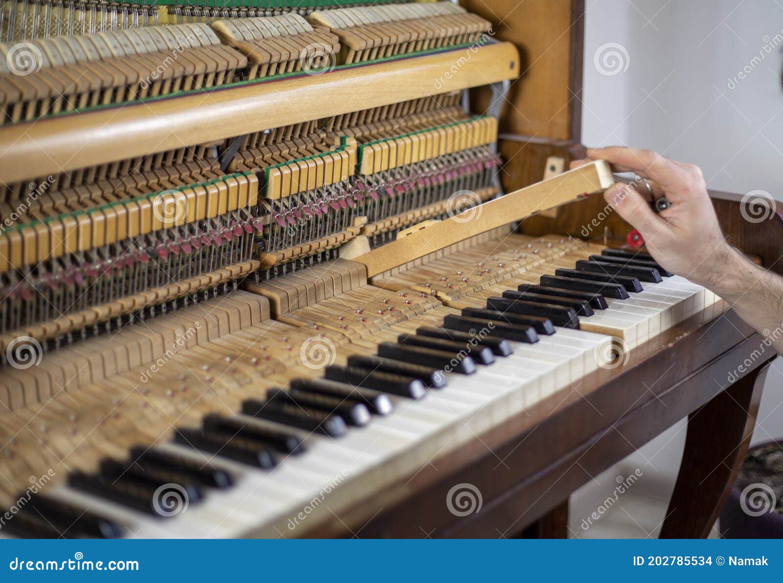 Swap Piano Key in Piano, Piano Tuning, Tuner, Musical Stock Photo ...