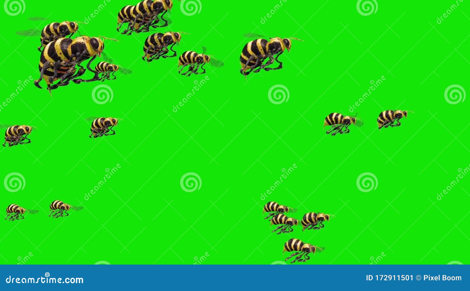 Swarm of Bees Wasps Fly Green Screen 3D Renderings Animations Insects ...