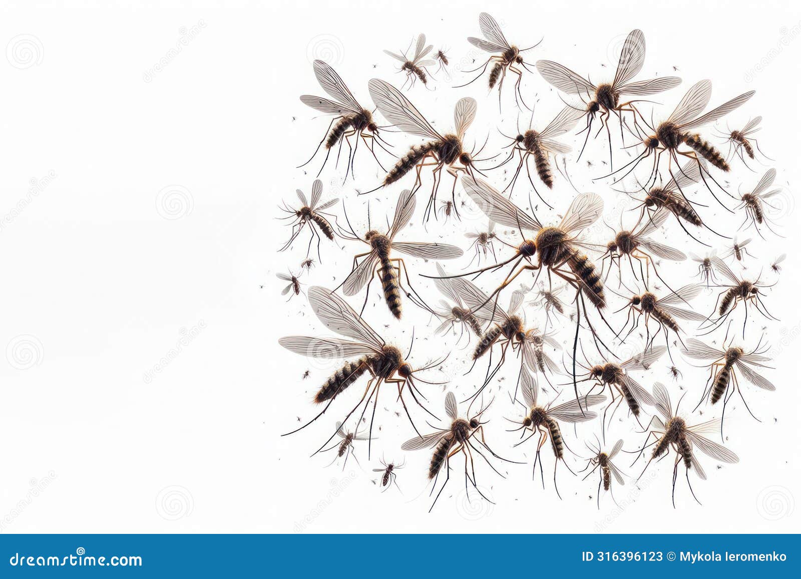 A Swarm of Flying Mosquitoes. Space for Text. Stock Image - Image of ...