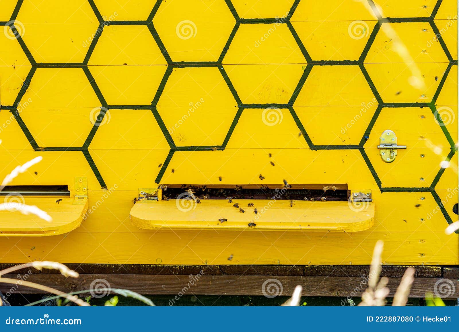 Swarm of Honey Bees at the Bee House Stock Photo - Image of swarm ...