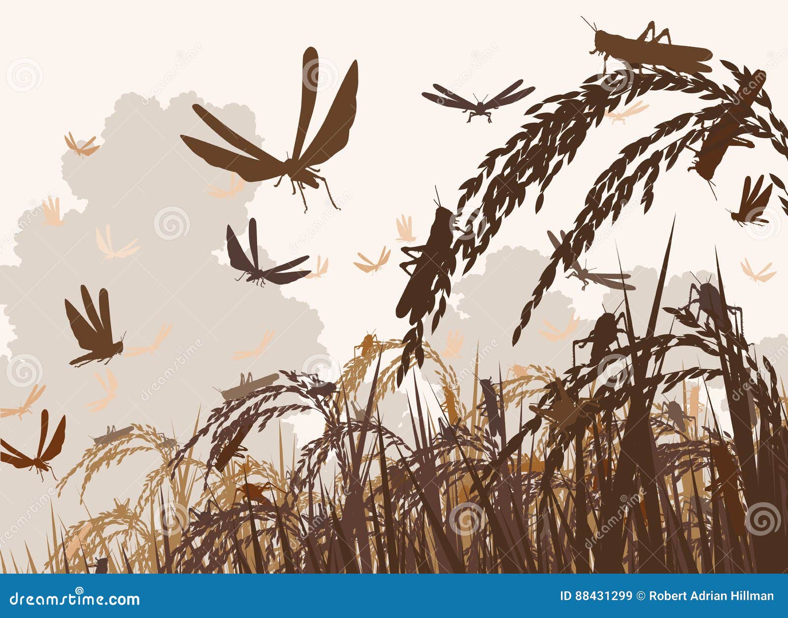 Swarm Of Locusts Attacking Plants Field Vector Illustration. Insects ...