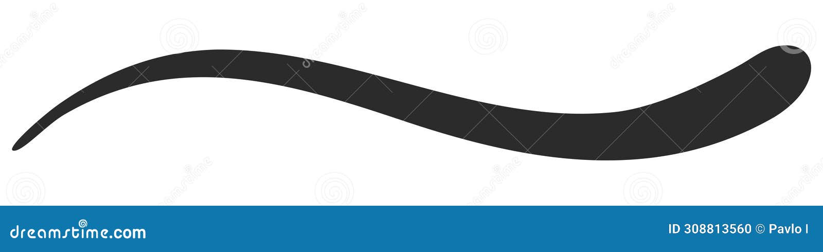 Swash Swooshes Tail Sign. Underline Text Swoops Tails For Calligraphy ...