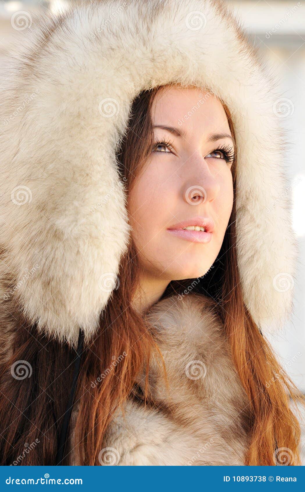 Swathed in furs stock photo. Image of female, elegance - 10893738