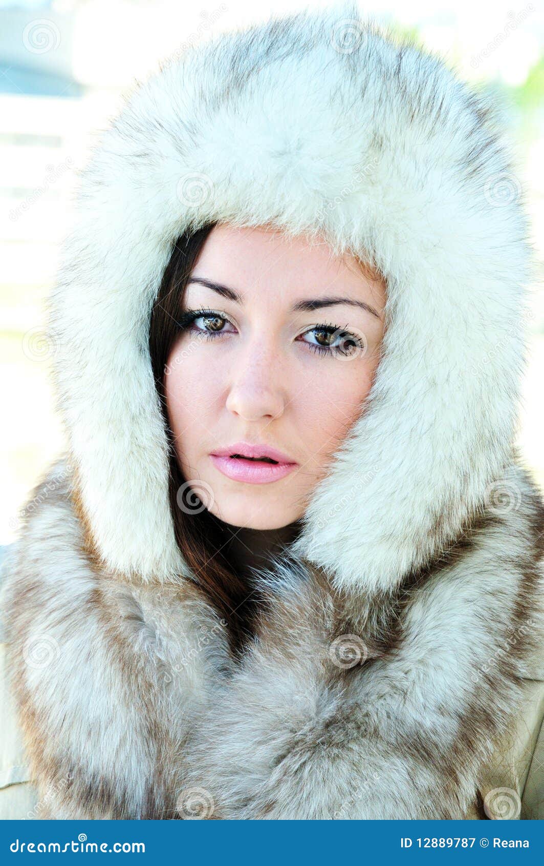 Swathed in furs stock image. Image of comfortable, human - 12889787