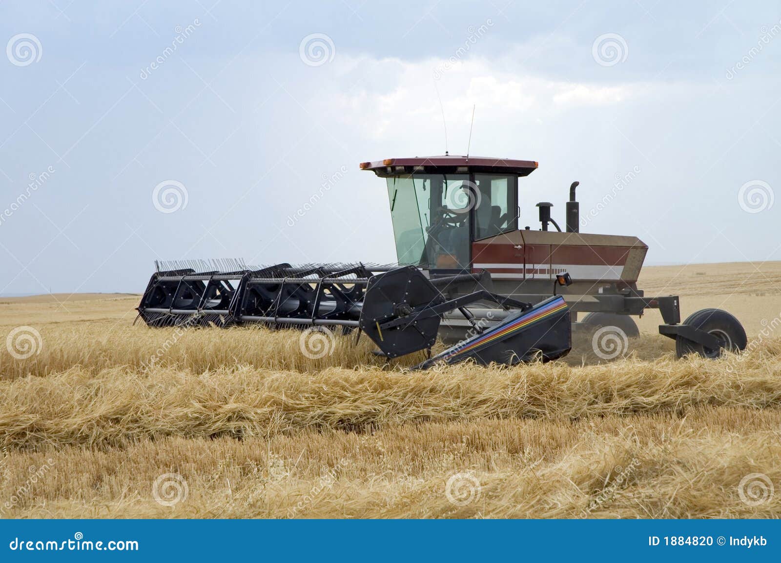 Swather stock photo. Image of farmland, grain, healthy - 1884820