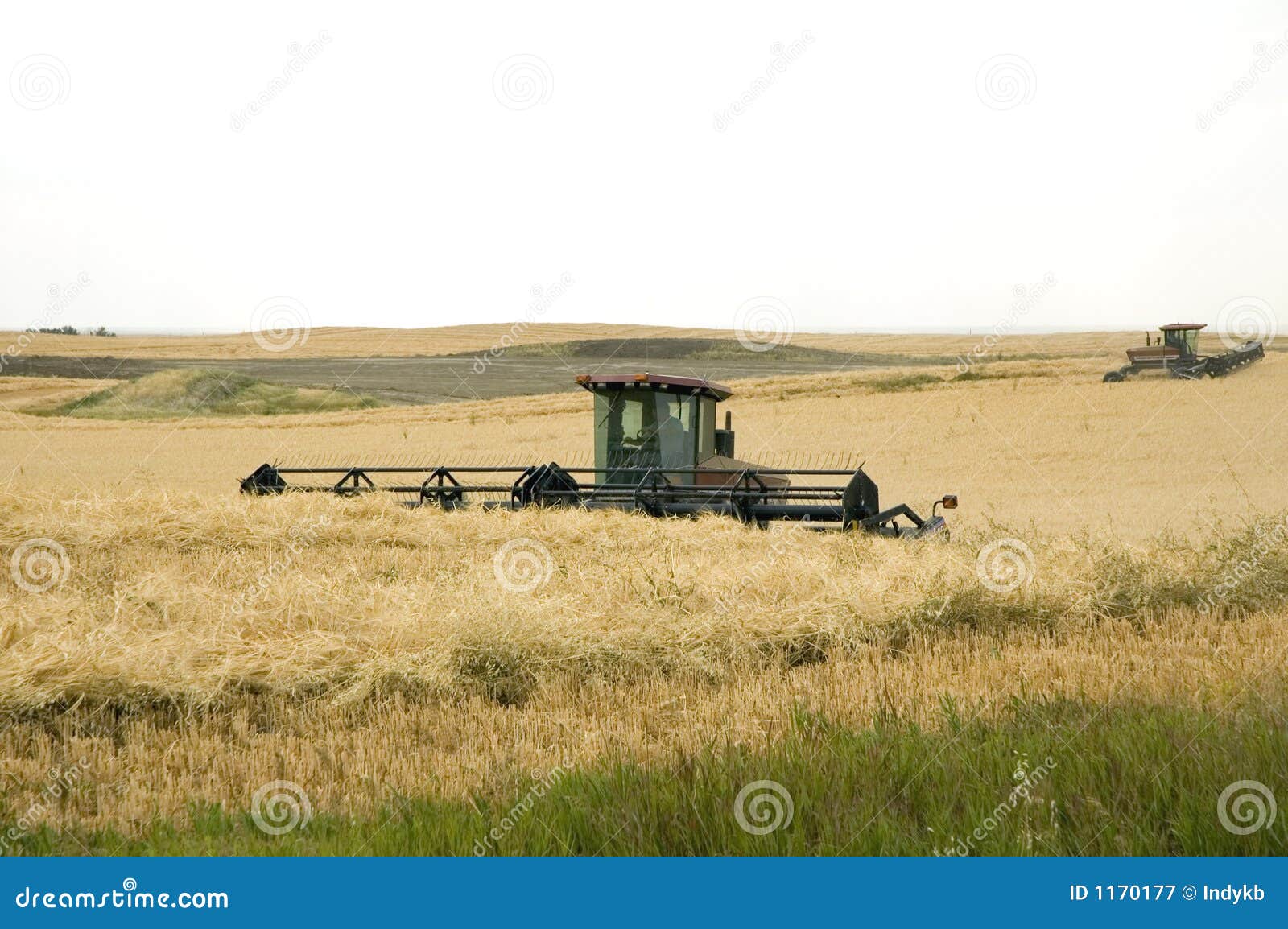 Swather 2 stock image. Image of blue, clouds, bountiful - 1170177