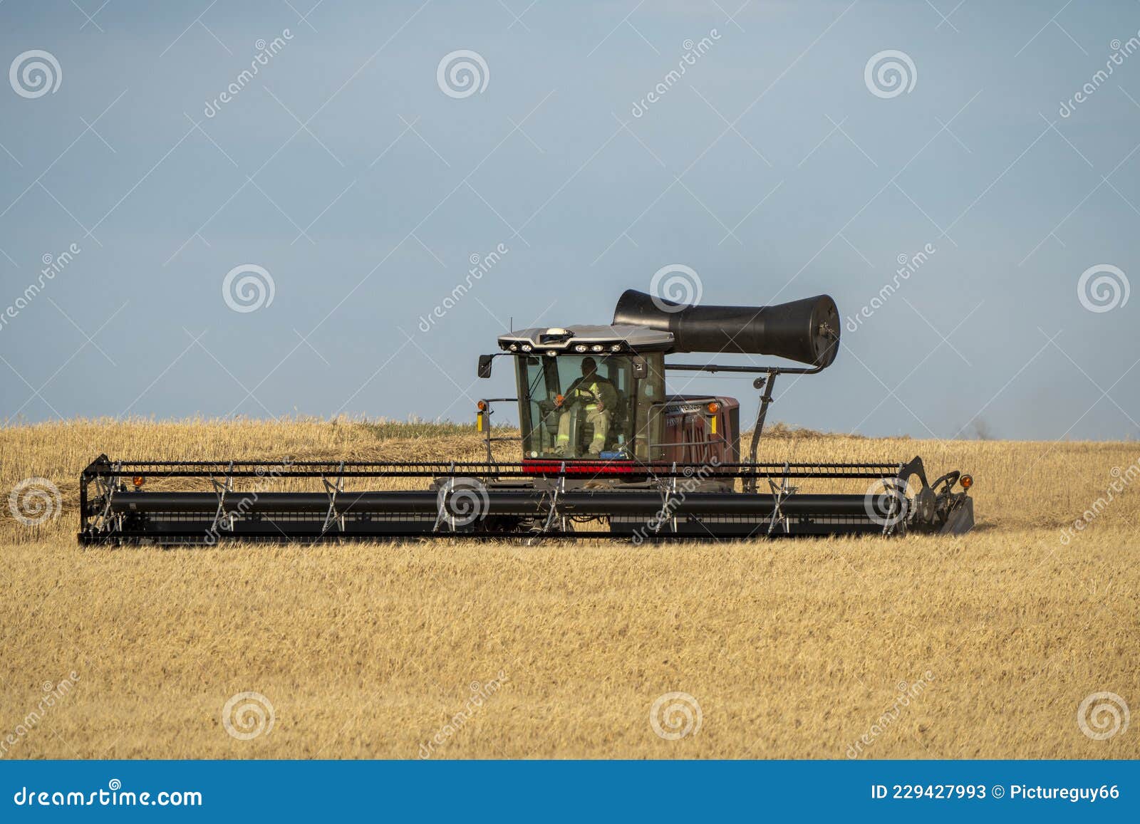 Swather in Action editorial stock photo. Image of harvesting - 229427993