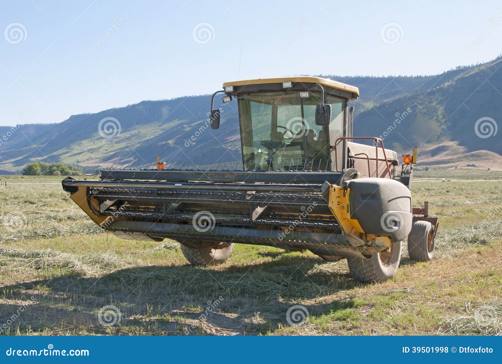 Swather stock photo. Image of alfalfa, agricultural, ranching - 39501998