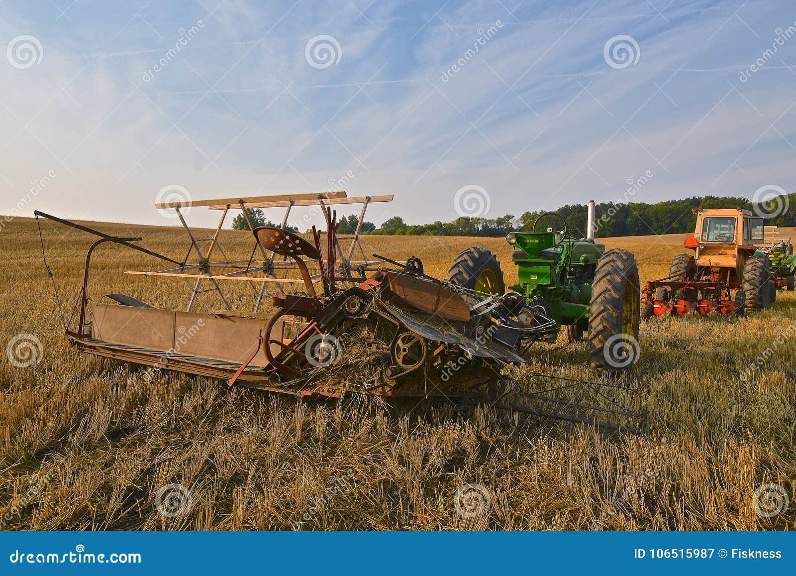 Swathing Grain With A 460 International Tractor Editorial Image ...