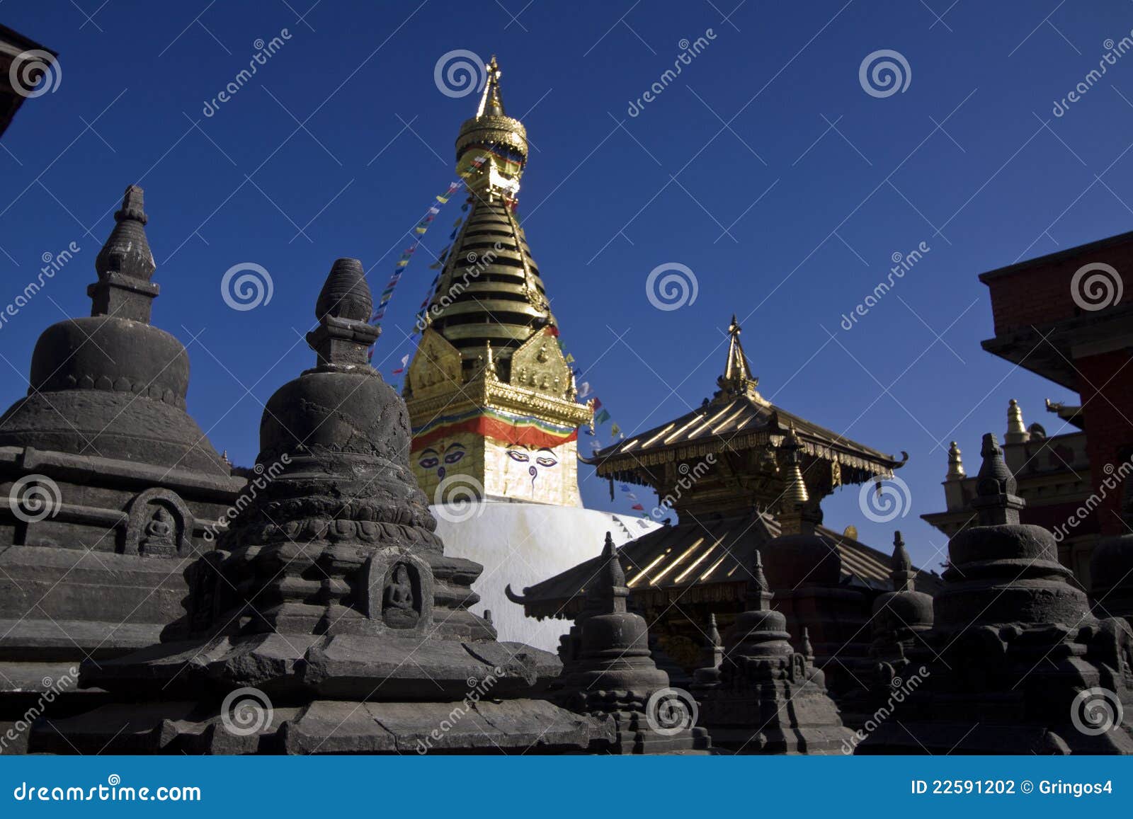 Swayambhunath Stupa Monkey Temple Stock Photo - Image of traditional ...