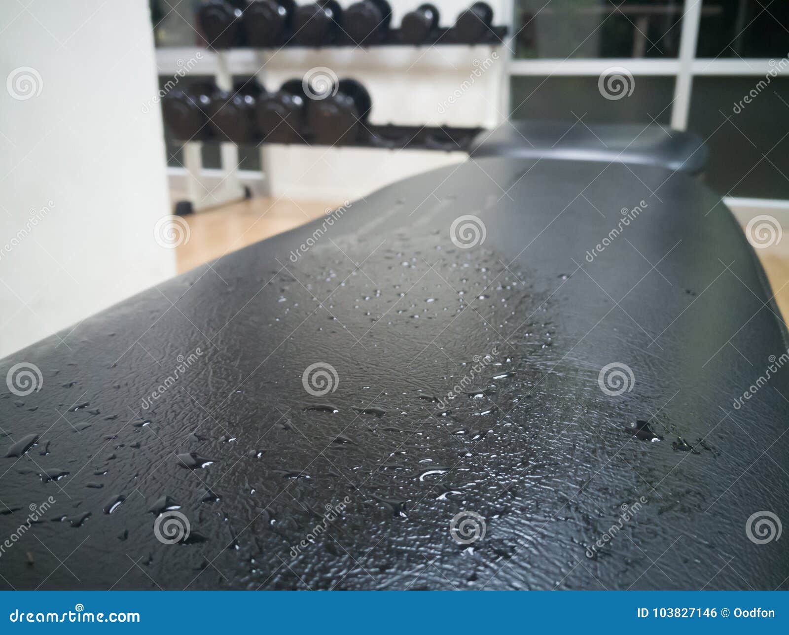 Sweat on the Bench Exercise Stock Photo - Image of fitness, hard: 103827146