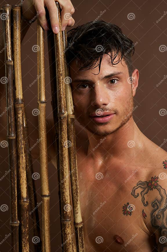 Sweat model stock photo. Image of male, muscular, shot - 33721608