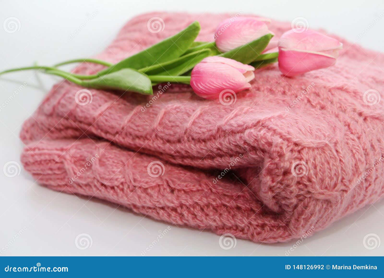 Sweater is Complicated. on the Sweater are Three Pink Tulips Stock ...