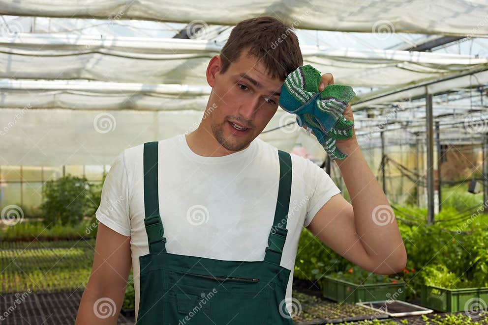 Sweating Farmer in Greenhouse Stock Image - Image of forehead, head ...