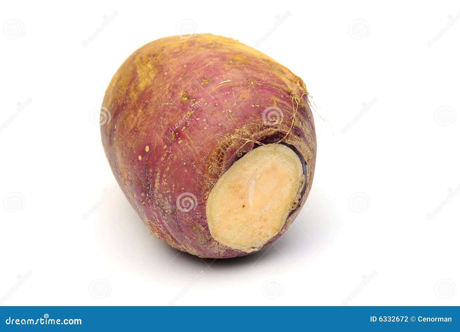 Swede stock photo. Image of squash, fall, healthy, winter - 6332672