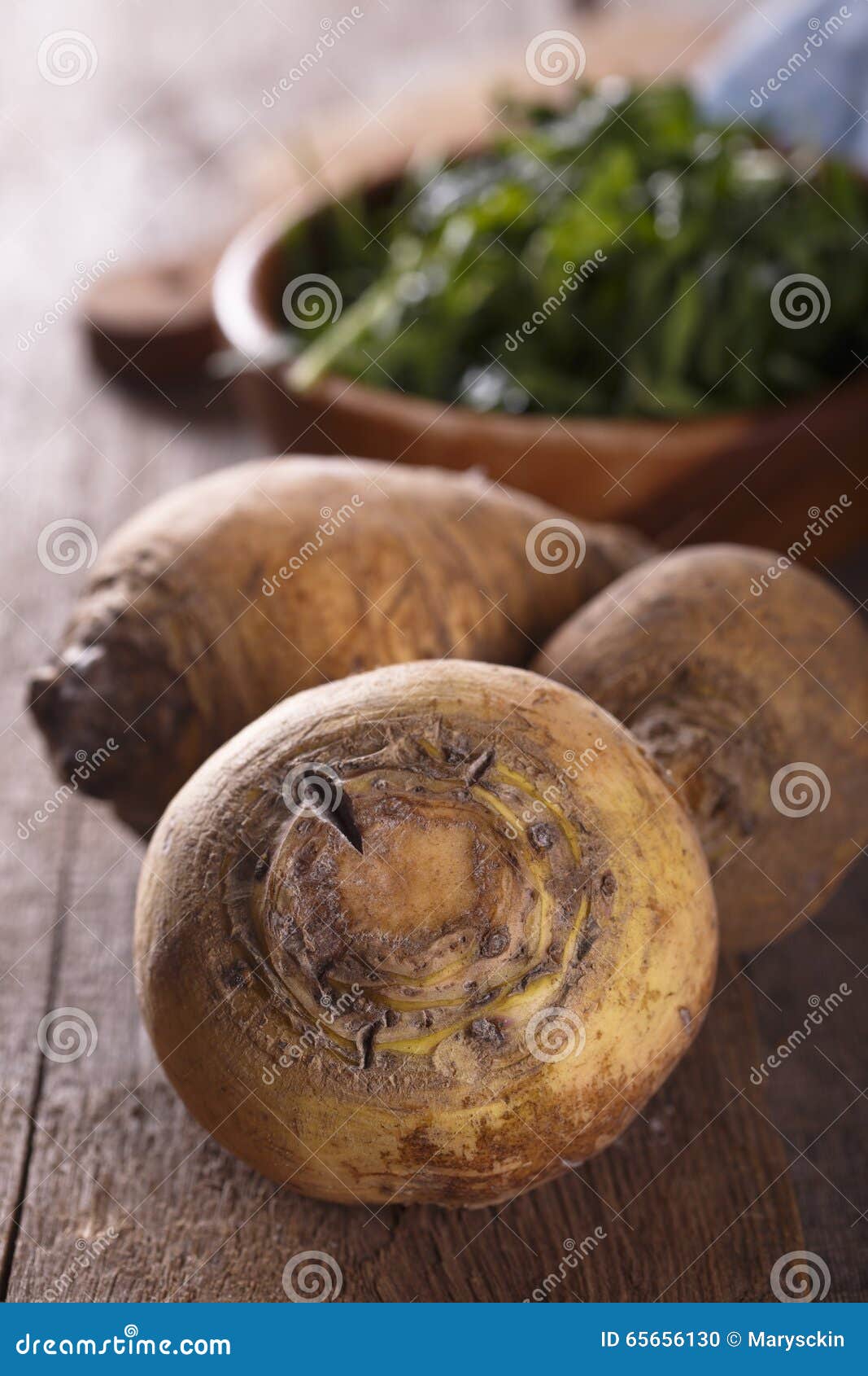 Swede stock photo. Image of country, farm, food, harvest - 65656130