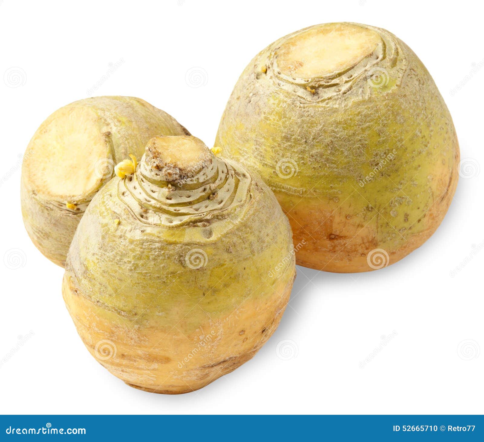 Swede stock photo. Image of vegetables, groceries, swede - 52665710