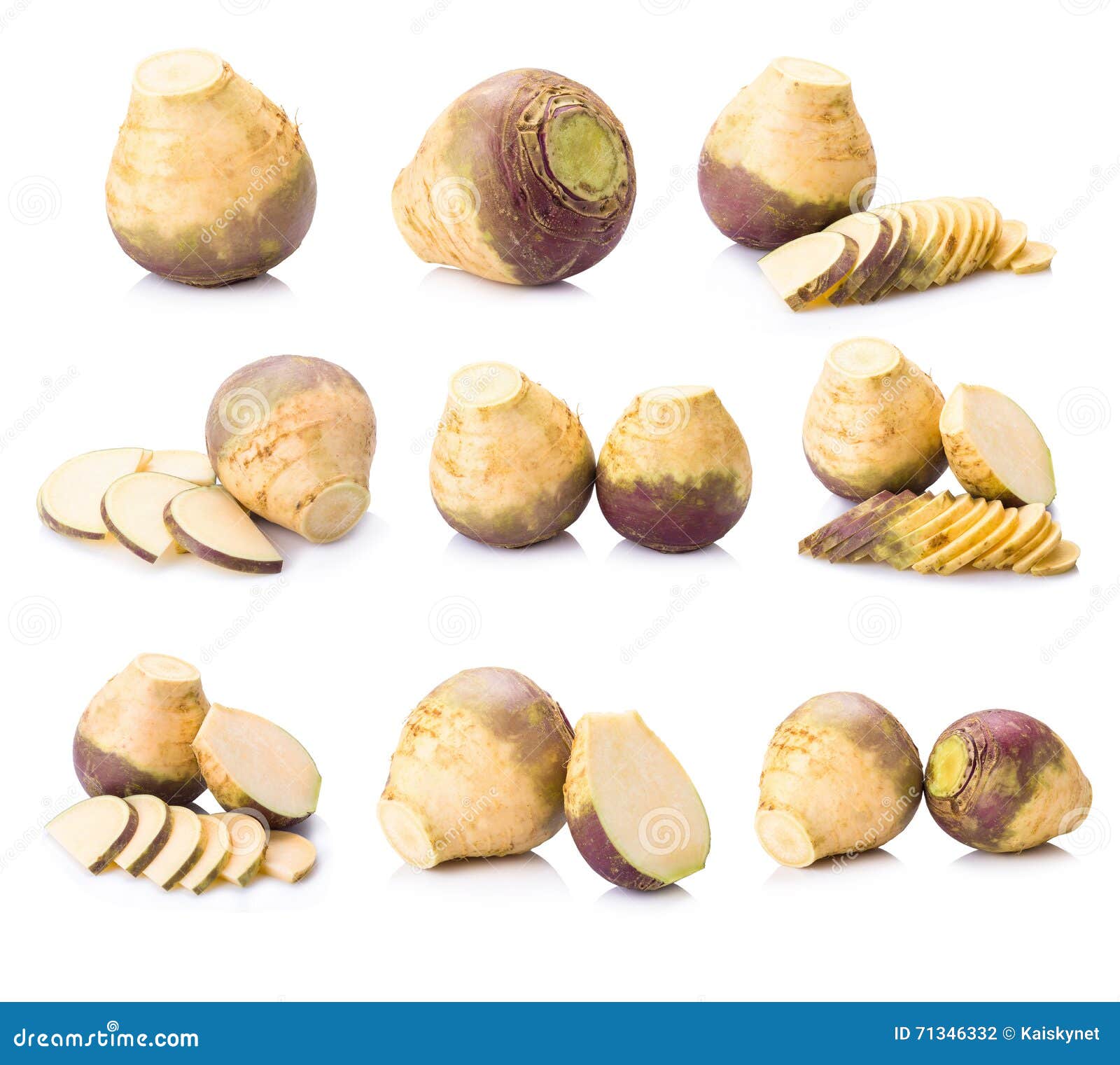 Swede Isolated on White Background Stock Photo - Image of single ...