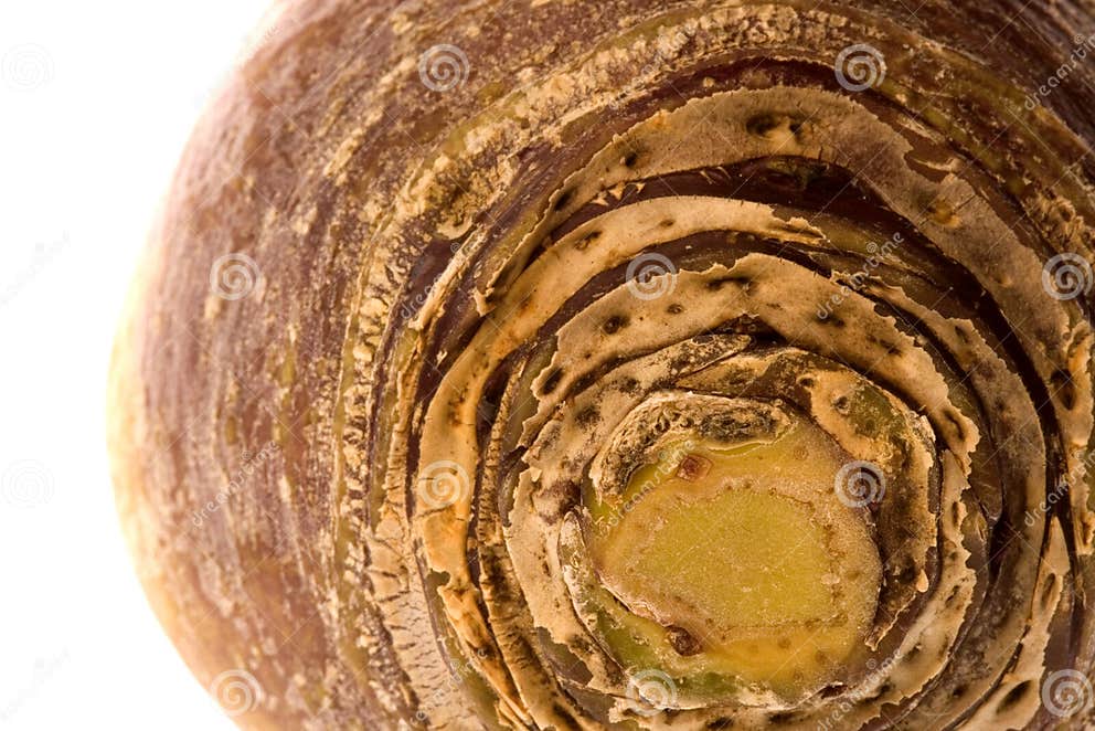Swede Vegetable stock image. Image of greens, vegetables - 5888995