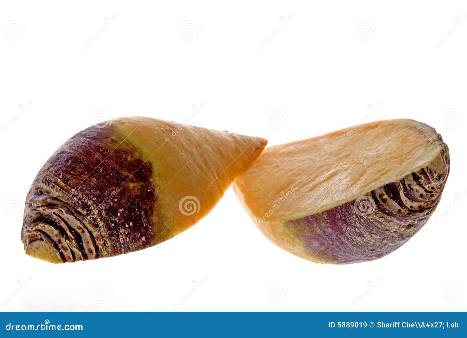 Swede Vegetable stock image. Image of food, close, produce - 5889019