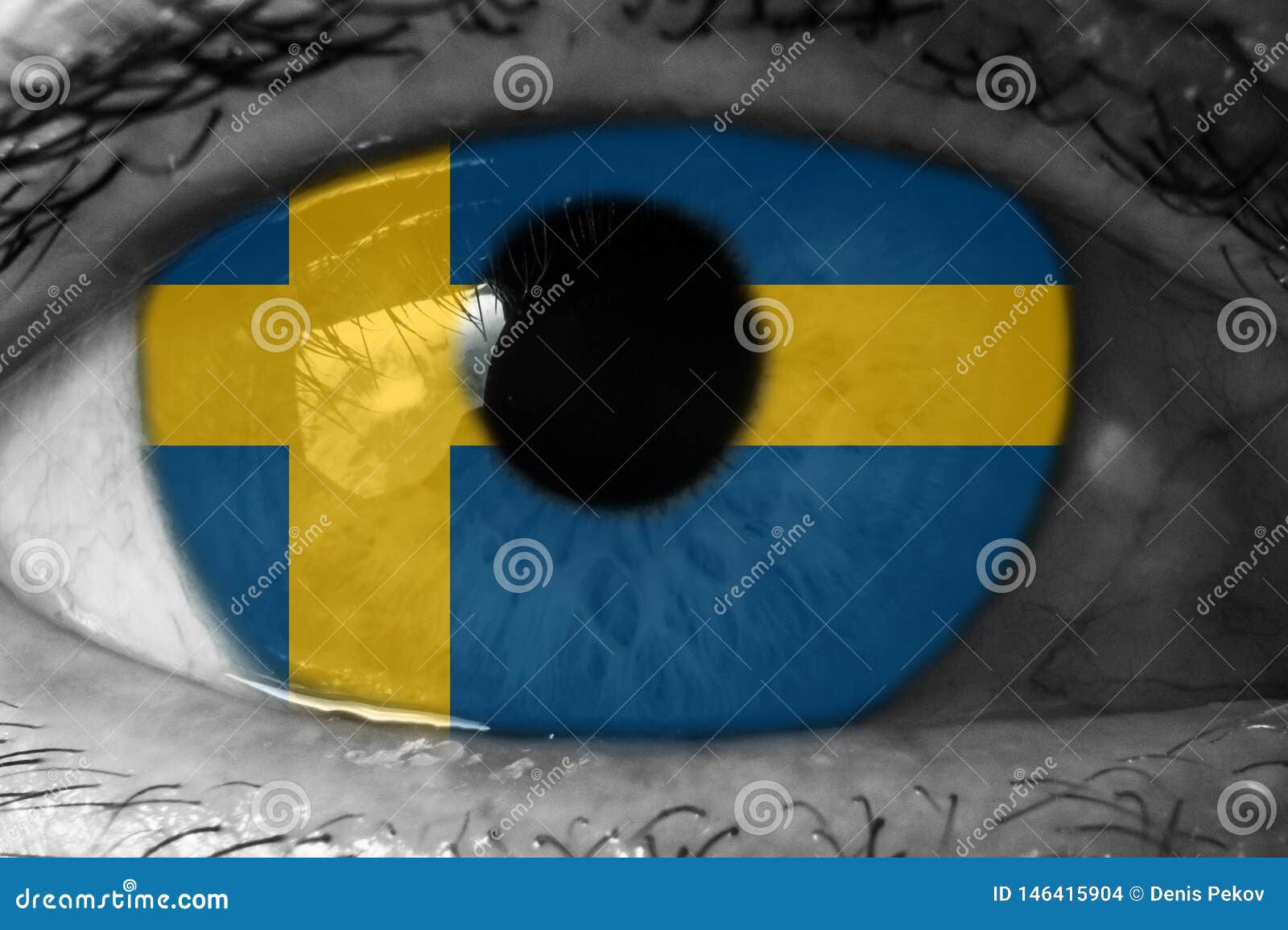 Sweden flag in the eye stock photo. Image of sweden - 146415904