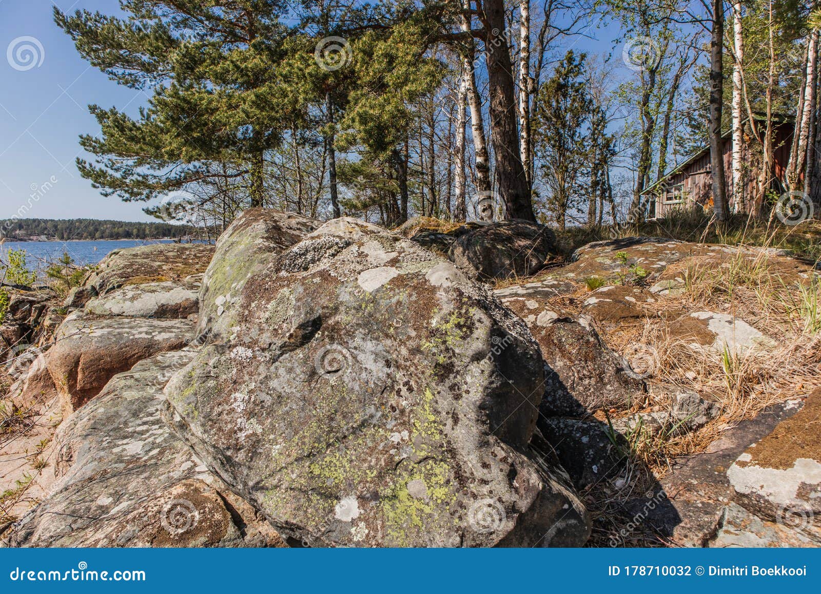 34,501 Sweden Forest Photos - Free & Royalty-Free Stock Photos from ...