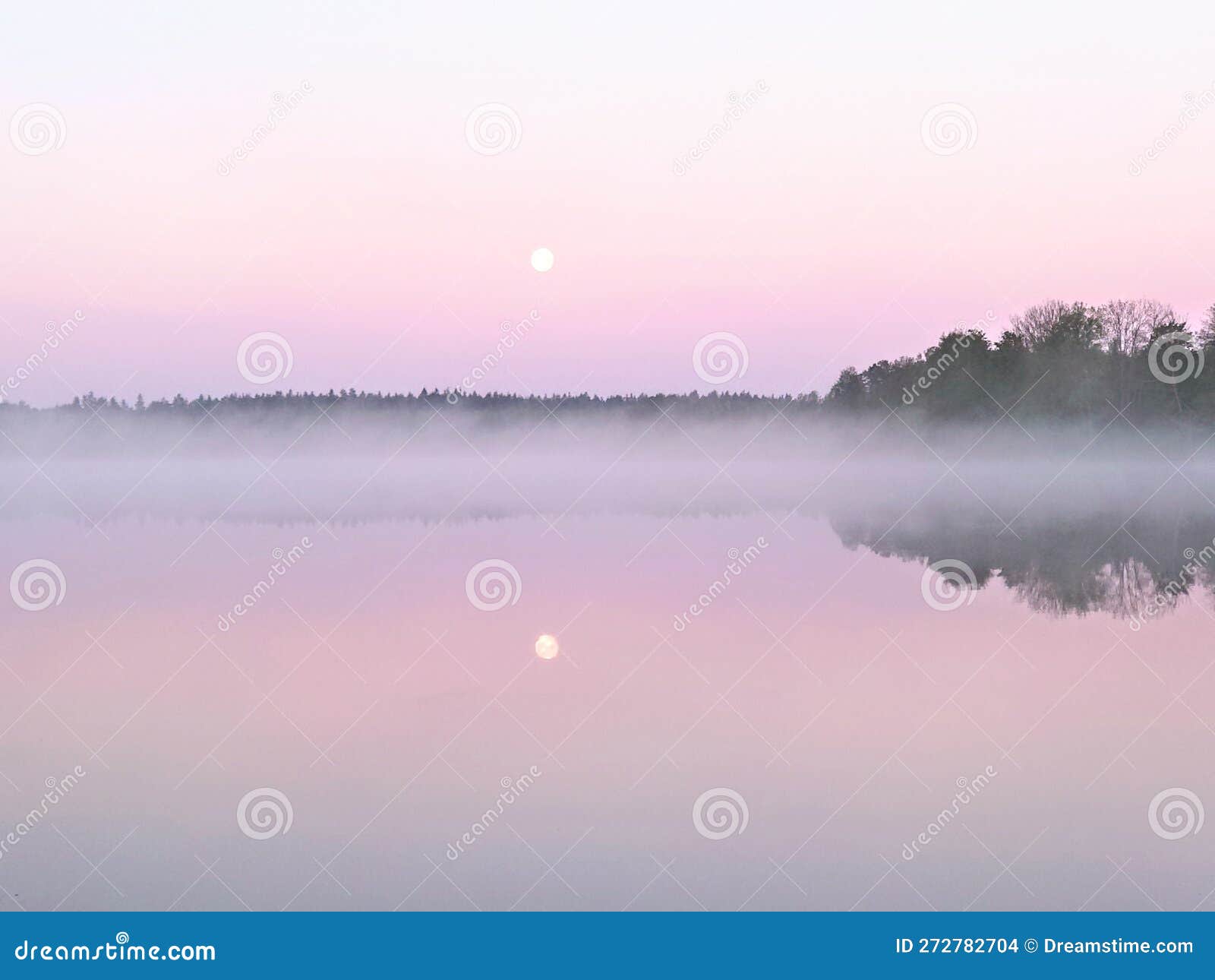 Sweden, lake, pink stock photo. Image of water, dawn - 272782704
