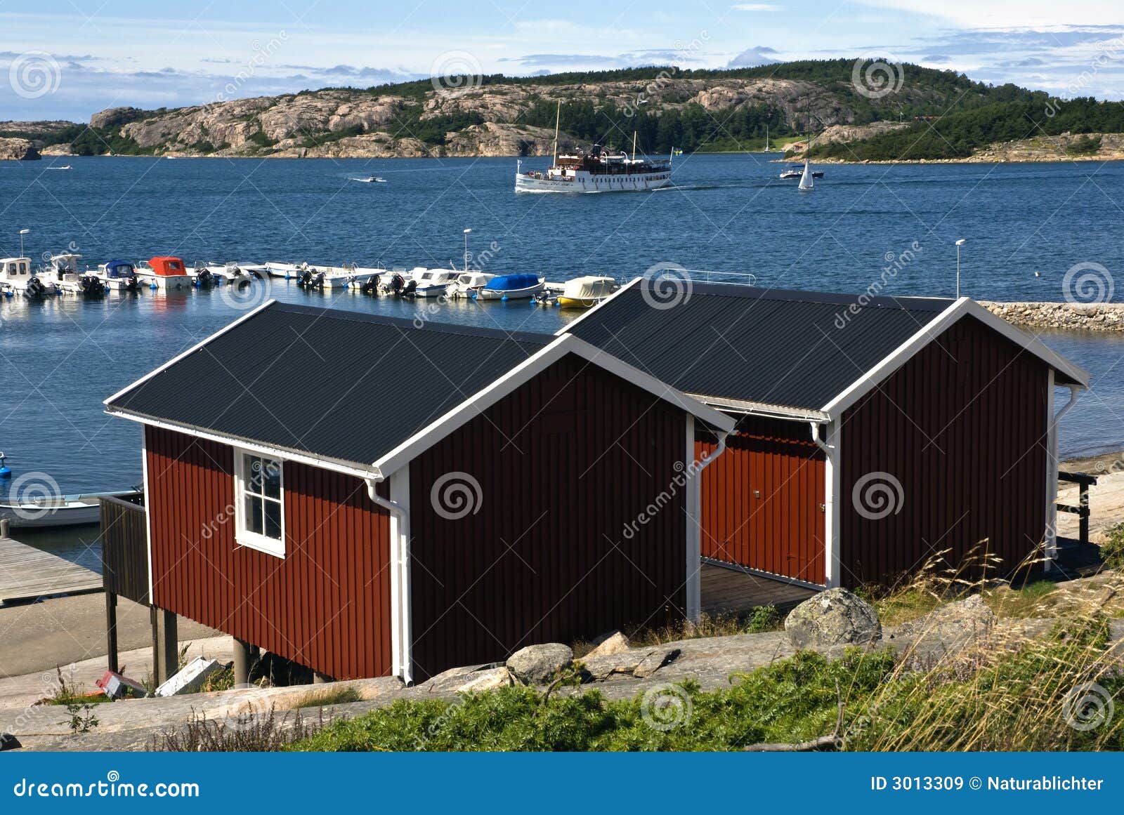 Sweden Skagerrak stock image. Image of skagerrak, animal - 3013309