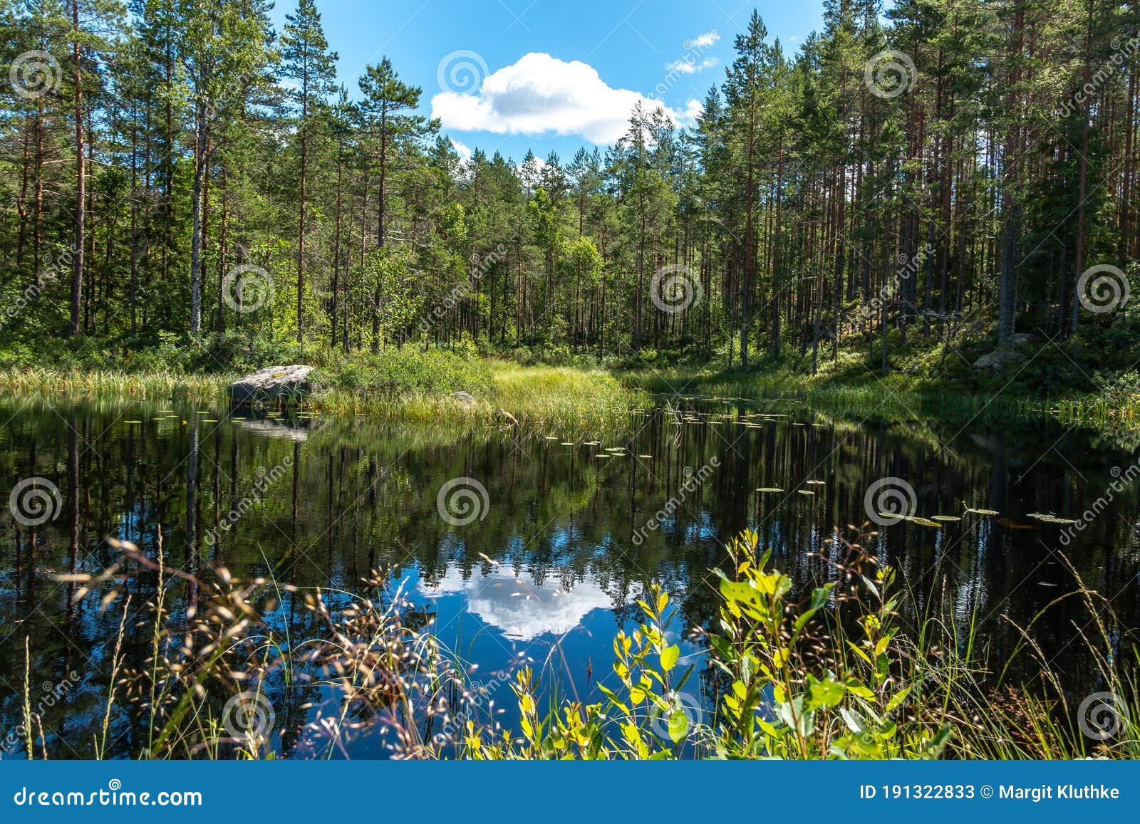 Sweden / Untouched Nature Along a Small River in Central Sweden in ...