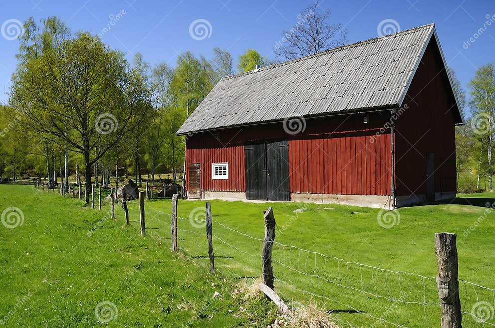 Swedish barn for cattle stock photo. Image of cottage - 19431692