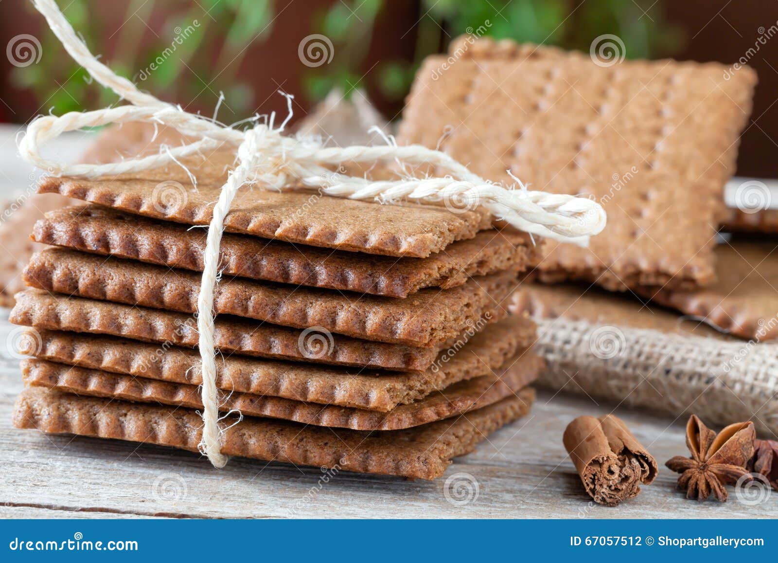Swedish Biscuits Closeup stock photo. Image of sweet - 67057512