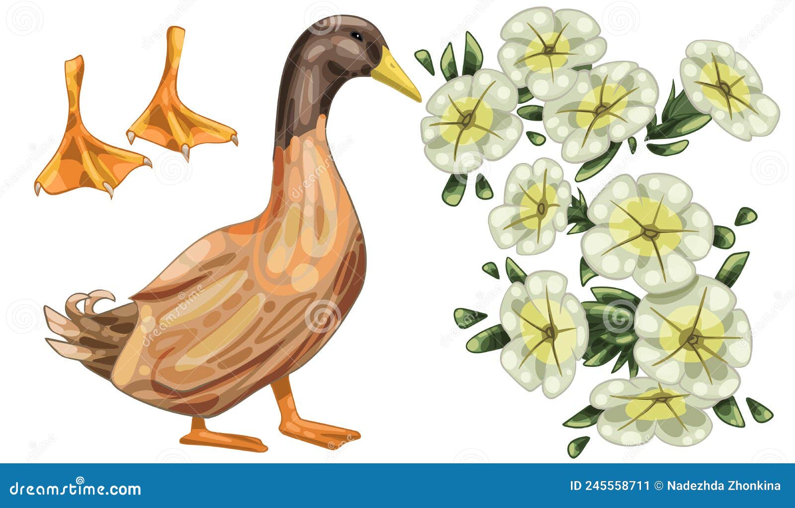 Buff Orpington Duck Cartoon Vector | CartoonDealer.com #245558585
