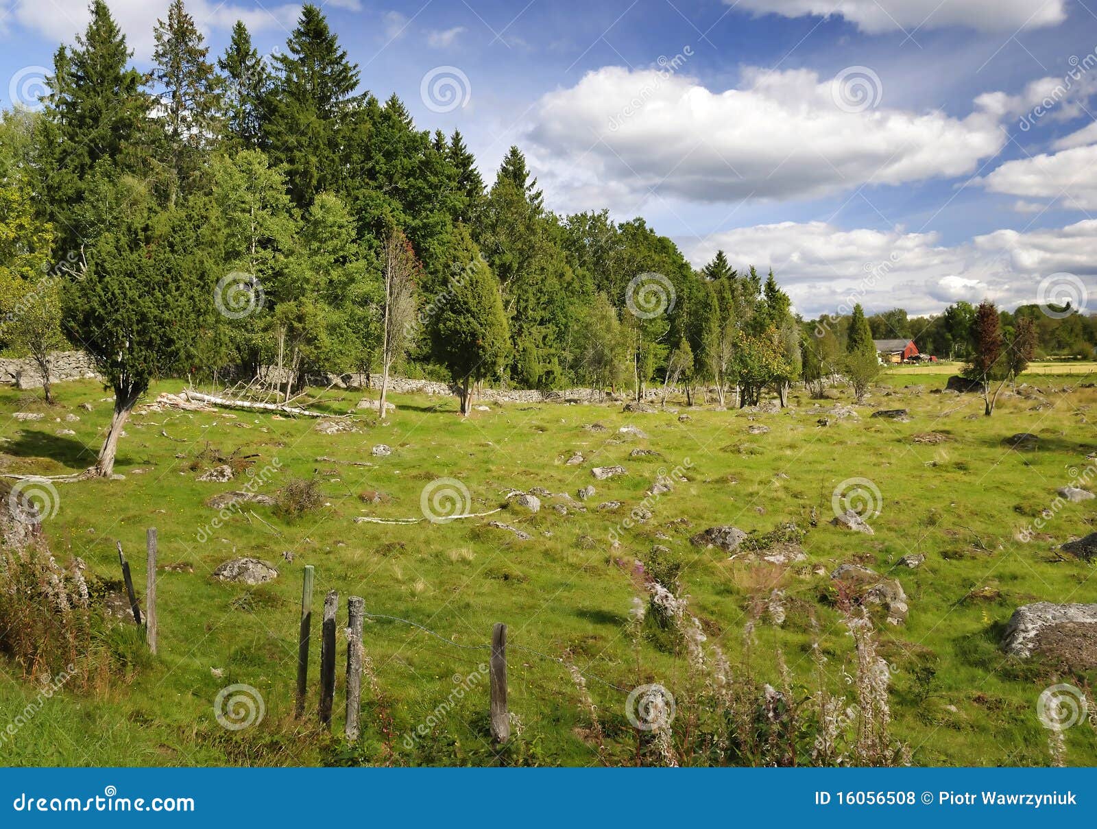 Swedish country details stock photo. Image of landscape - 16056508
