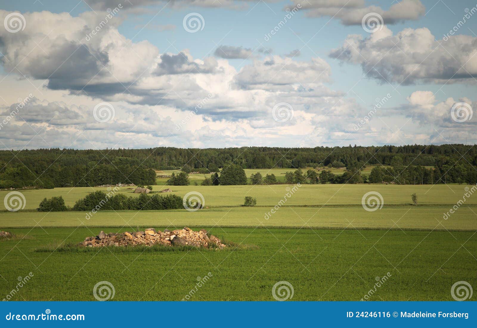 Swedish country side stock photo. Image of idyllic, rubble - 24246116