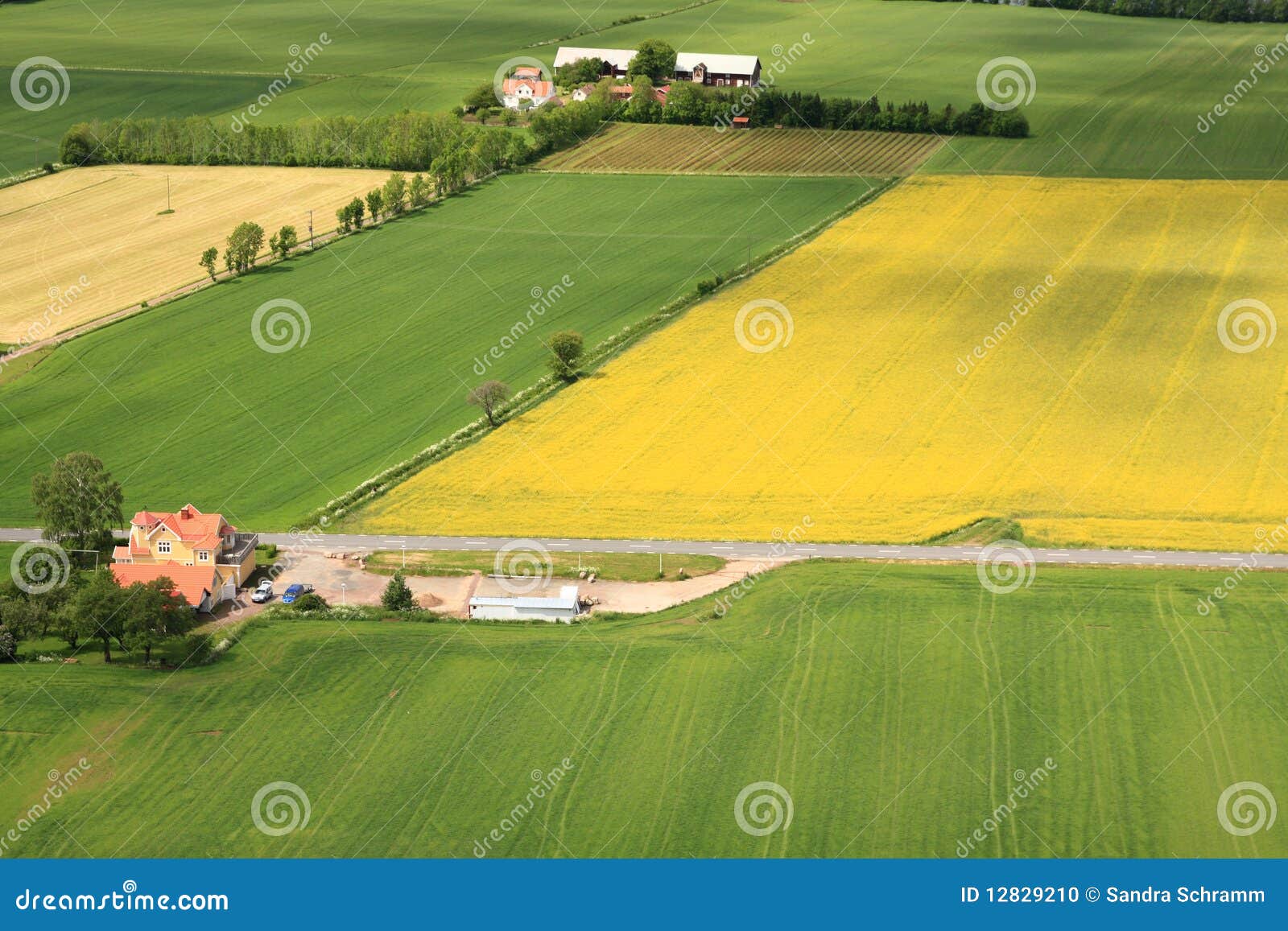 Swedish countryside stock photo. Image of farm, yellow - 12829210