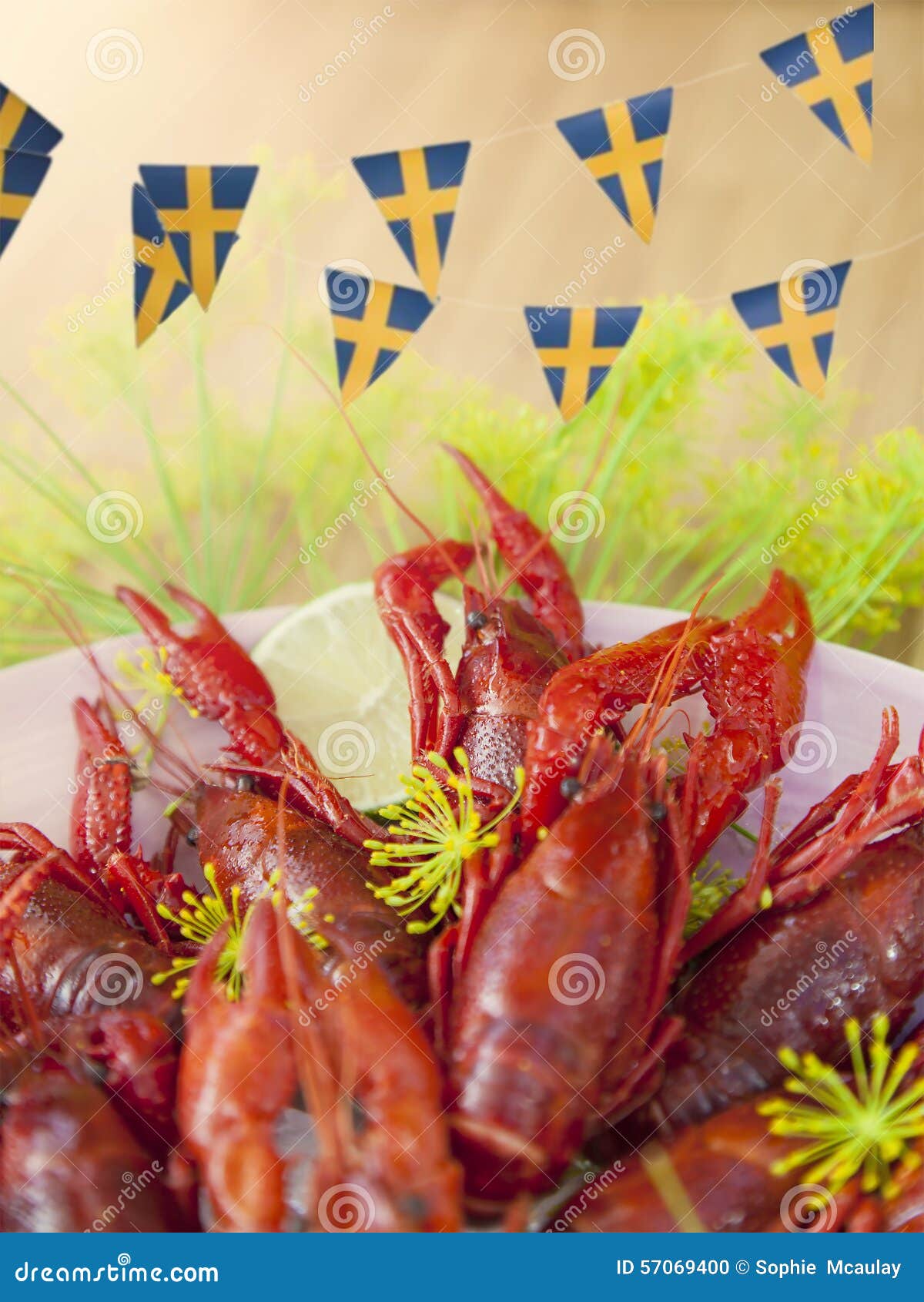 Swedish crayfish party stock photo. Image of claw, fresh - 57069400