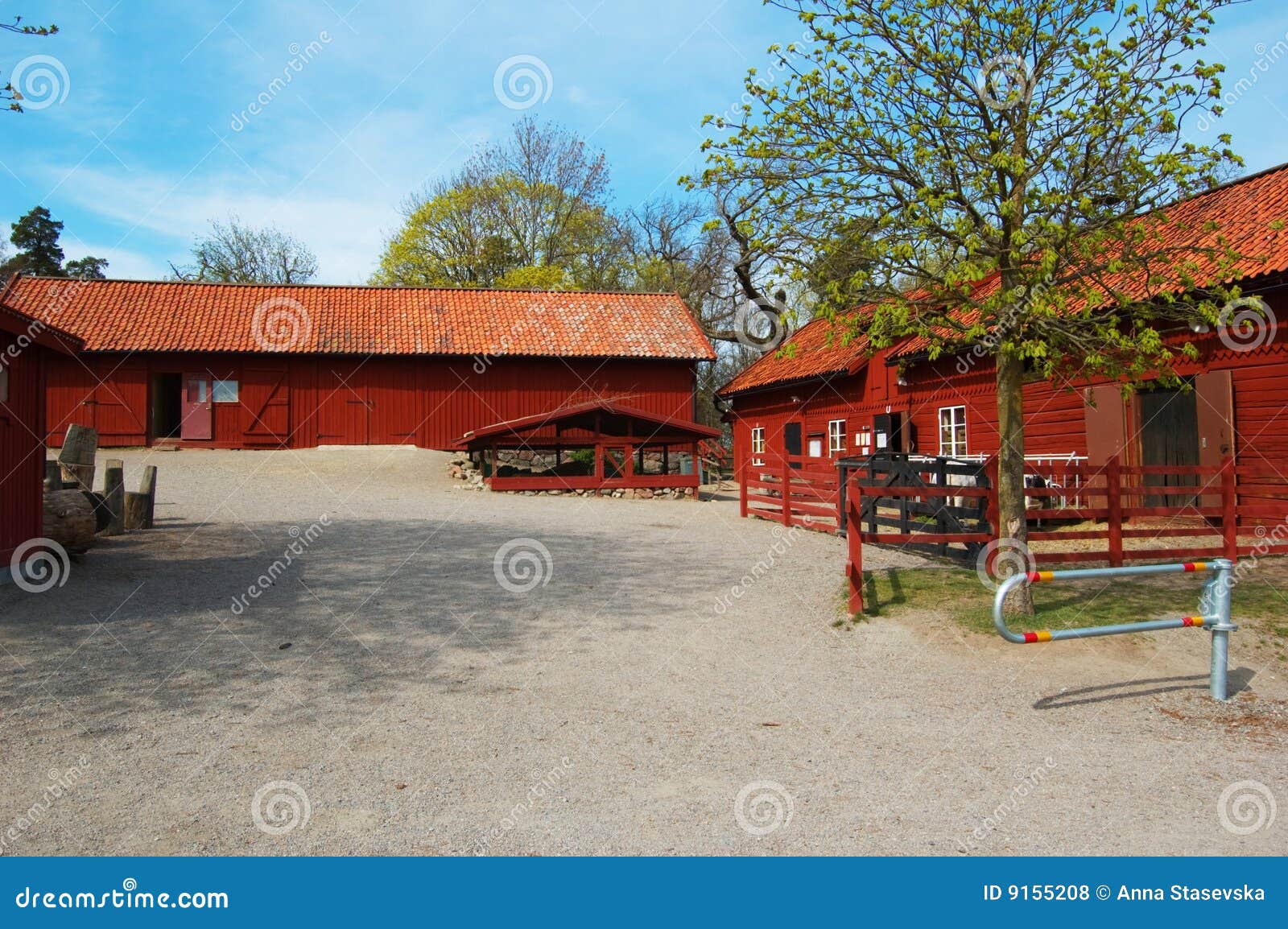 Swedish farming stock photo. Image of idyll, field, brown - 9155208