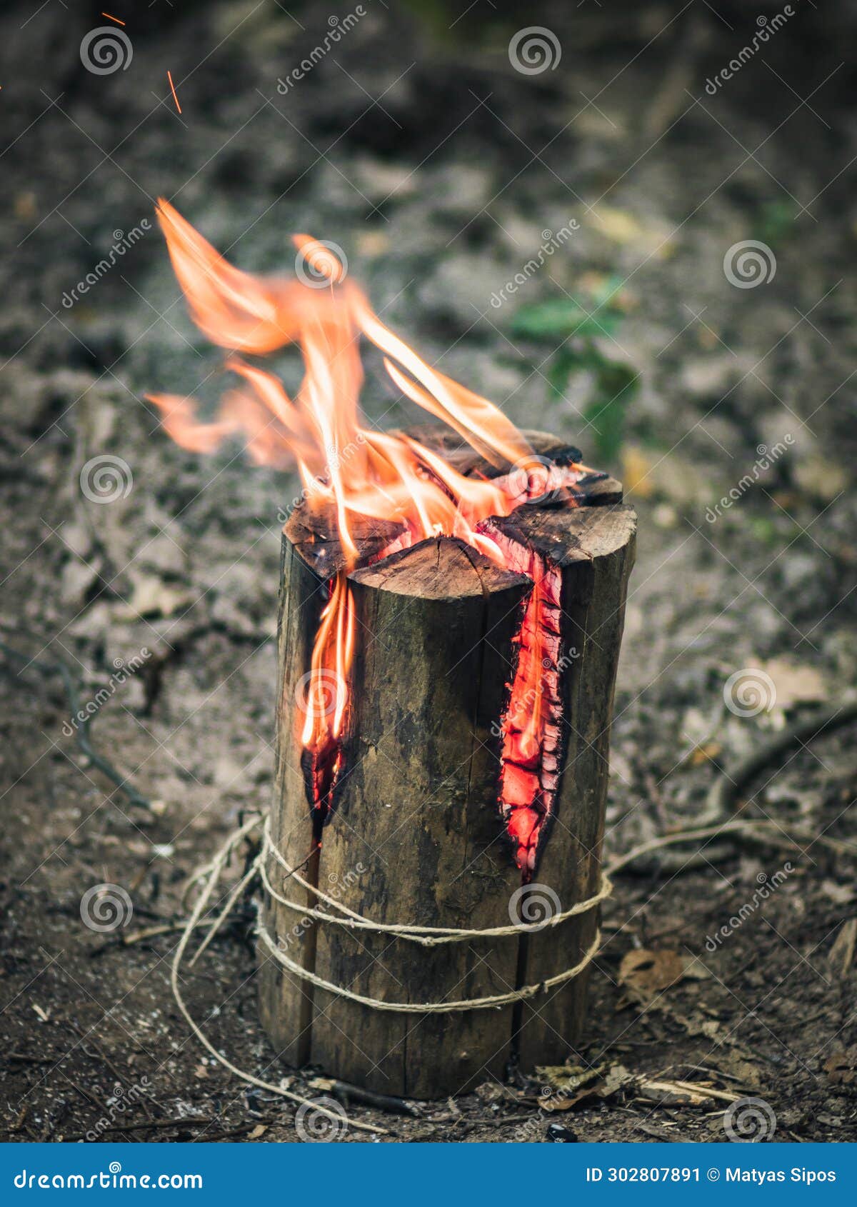 Swedish Fire Log. Burning a Swedish Candle, Swedish Torch in Summer ...