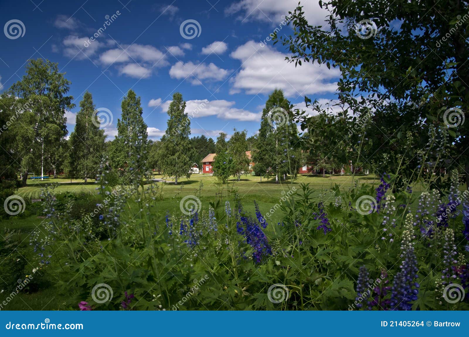 Swedish garden stock photo. Image of trecking, flowers - 21405264