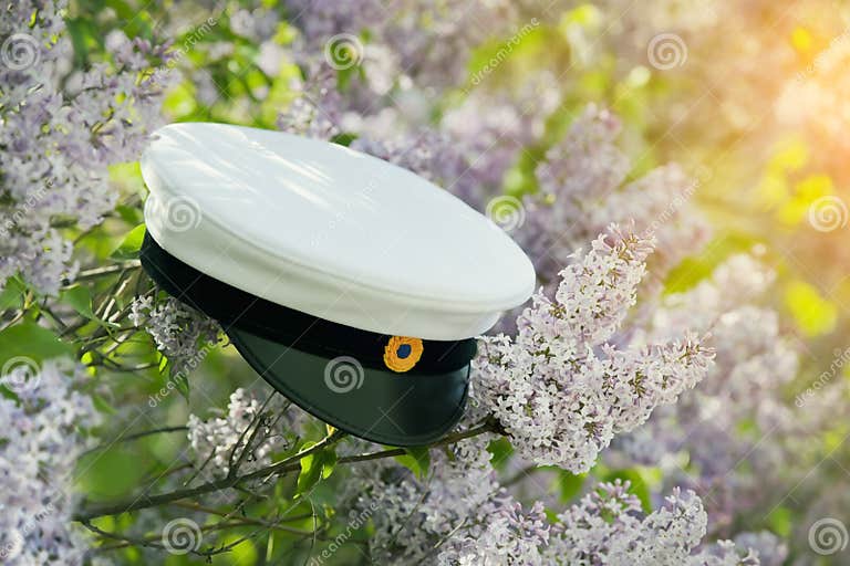 Swedish graduation cap stock image. Image of flower, student - 94030447