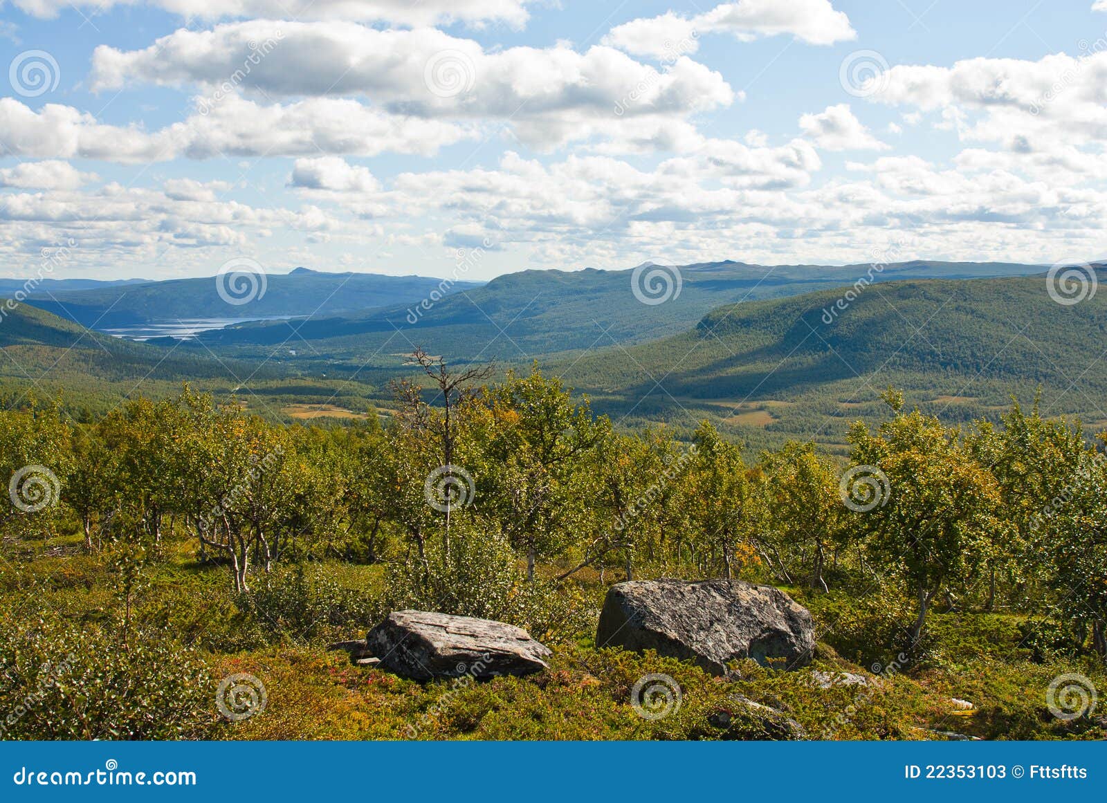 Swedish hills stock image. Image of valley, trees, line - 22353103